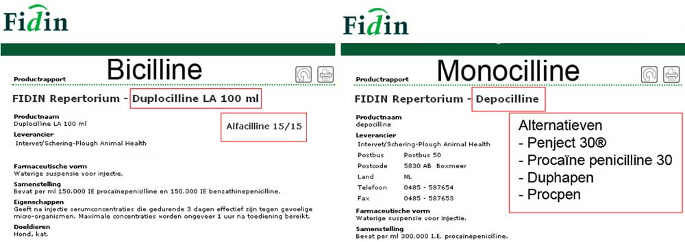 Antibioticum – Dierengebit.nl